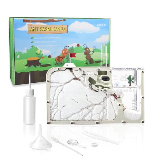 Ant Nest Farm Castle for Live Ants, Ant Colony Observation Kit, Ant ...