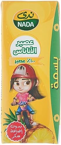 Nada Danyah Uht Pineapple Juice, 18 X 200 Ml price in Saudi Arabia ...