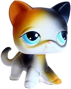 Amazon.com: Cat Kitten Shorthair #106 (Four Paws, White, Blue Eyes ...