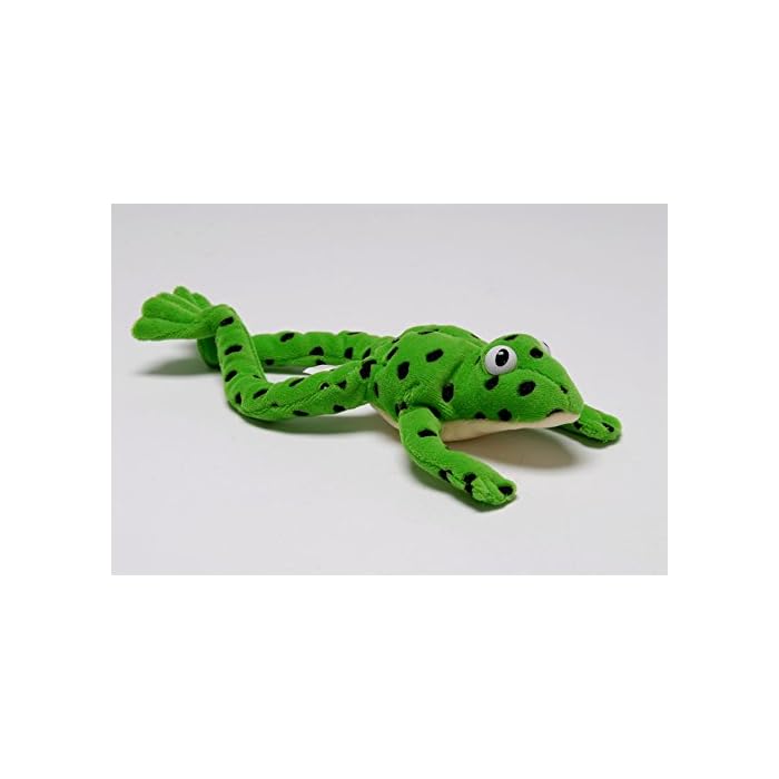 Buy Read Write Inc Fred The Frog Toy READ WRITE INC PHONICS Buy Read Write Inc Fred The Frog Toy READ WRITE INC PHONICS