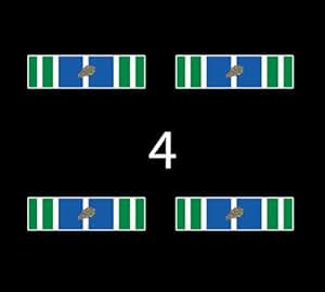 Amazon.com: US Army Ribbon Achievement Medal Ribbon with Bronze Oak ...