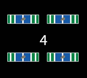 Amazon.com: US Army Ribbon Achievement Medal Ribbon with Bronze Oak ...