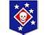 Amazon.com: American Vinyl Black & White MARSOC Marine Raiders Skull ...