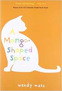 Amazon.com: A Mango-Shaped Space (8601417156988): Wendy Mass: Books