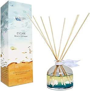 Amazon.com: LOVSPA Escape Beach Getaway Ocean Scented Reed Diffuser Oil ...
