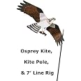 Amazon.com : BestNest Jackite Osprey Kite & Fiberglass Telescoping Pole ...