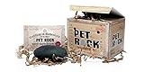 USB Pet Rock