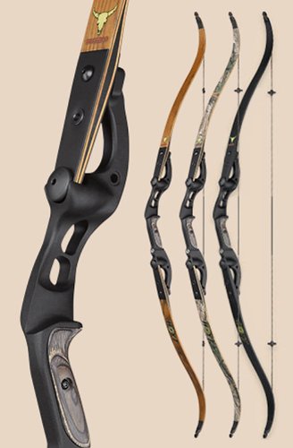 Hoyt Bows