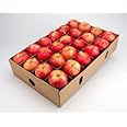 Amazon.com: Organic Honeycrisp Apple by FruitShare : Grocery & Gourmet Food
