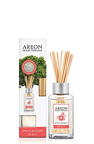 Areon Home Luxury Perfume Reed Diffuser + 10 Rattan Reeds, - Want It All