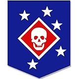 Amazon.com: American Vinyl Black & White MARSOC Marine Raiders Skull ...