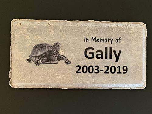 Amazon.com: Turtle Memorial Stone - Personalized Turtle Memorial: Handmade
