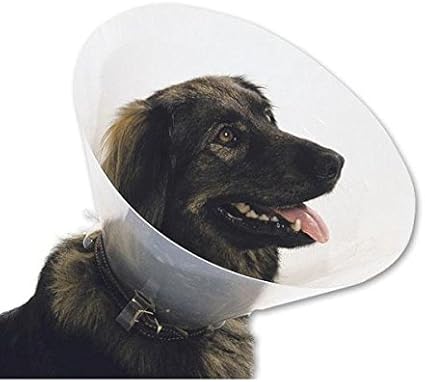 Karlie - Collerette De Protection Pour Chien Ou Chat 15-25 Cm: Amazon ...