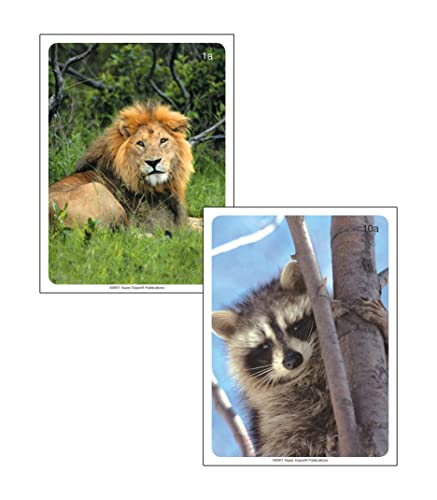 Super Duper Publications | Webber® Animals Photo Card Deck ...