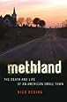 Methland: The Death and Life of an American Small Town: Reding, Nick ...