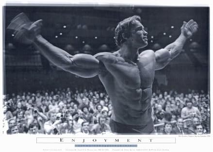 Pumping Iron Poster Movie B 24 x 36 In - 61cm x 92cm Arnold ...