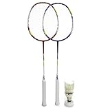 Best Badminton Sets in 2019 Reviews