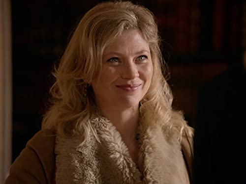 Watch Candice Renoir - Series 1 | Prime Video