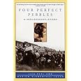 Four Perfect Pebbles: A Holocaust Story: Perl, Lila, Marion Blumenthal ...