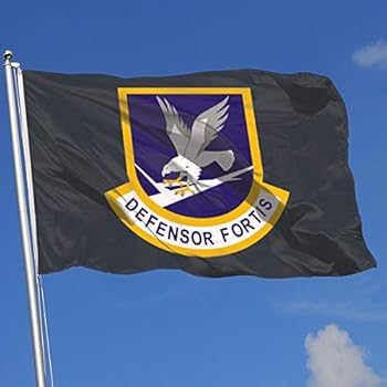 Amazon.com : UDSNIS Defensor Fortis Air Force Security Force Garden ...