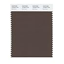 Amazon.com: Pantone 19-0916 TCX Smart Color Swatch Card, Rain Drum ...