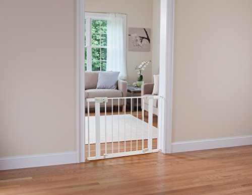 7 Best Retractable Baby Gate 2020 Reviewed | BestOfGoods.com