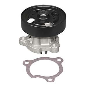 Amazon.com: ACDelco 252-873 Professional Water Pump Kit: Automotive