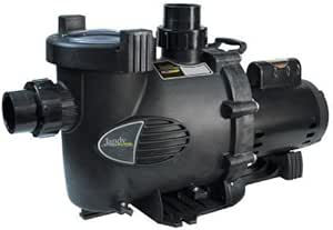 Amazon.com : Jandy Stealth SHPF Full-Rated Single Speed 3/4 HP Pool Pump : Swimming Pool Water ...