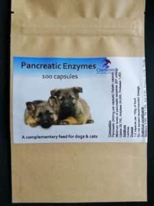 Cápsulas de enzimas pancreáticas x 100 Pancreatic Enzyme Capsules ...