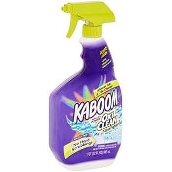 Amazon.com: Kaboom with OxiClean Foam-Tastic - Citrus - 19 oz - 2 pk ...