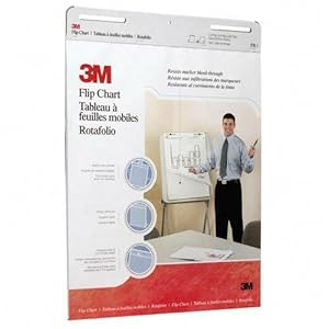 Amazon.com : 3M Flip Charts, 25"x30", White, 40 Sheets/Pad, 2 Pads ...