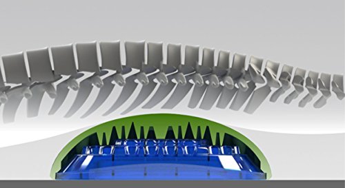 The Backpod - Direct Treatment and Ongoing Care for Upper Back and Neck ...