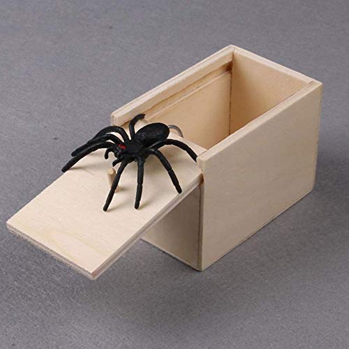 Wooden Pencil Box Spider