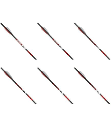 Killer Instinct Hypr Bolts Review Killer Instinct HYPR 20-Inch Carbon ...