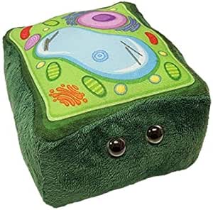 Amazon.com: GIANTmicrobes Plant Cell Plush – Learn about Cell Biology ...