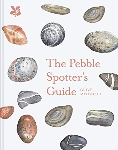 Amazon.com: The Pebble Spotter's Guide: 9781911657309: Mitchell, Clive ...