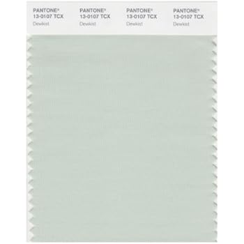 PANTONE SMART 19-0822X Color Swatch Card, Tarmac - House Paint - Amazon.com