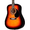 Amazon.com: Rogue Starter Acoustic Guitar Red Burst: Musical Instruments