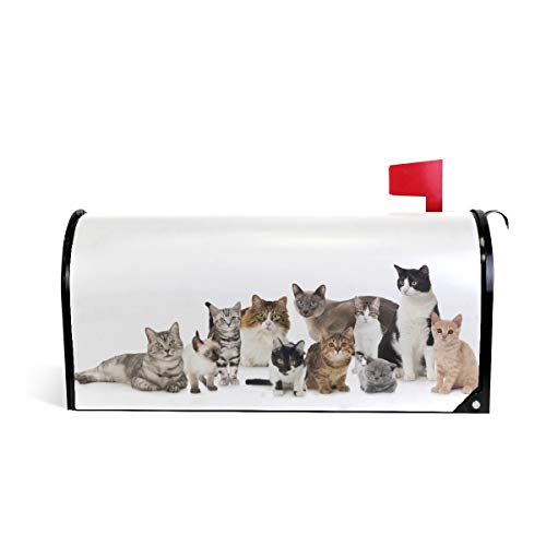 47 Insanely Unusual and Cool Mailboxes For Your Home - Homesthetics ...