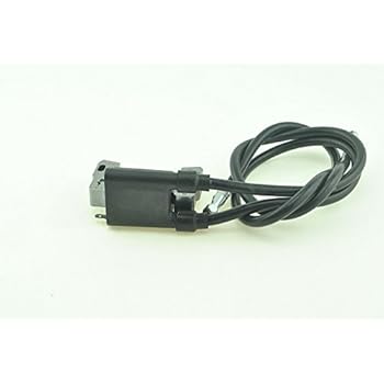 Amazon.com: TEW Inc. Ignition Coil For Briggs & Stratton 392329 394891 ...
