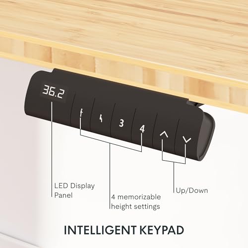 FLEXISPOT E6 Essential Dual Motor Bamboo 3 Stages Electric Standing ...