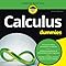 Calculus For Dummies (For Dummies (Lifestyle)): Ryan, Mark ...