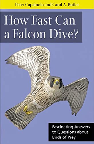 How Fast Can A Falcon Dive?: Fascinating Answers to Questions about ...