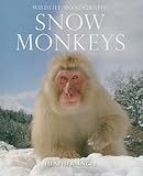 Capuchin Monkeys, Do These Primates Make Good Pets?