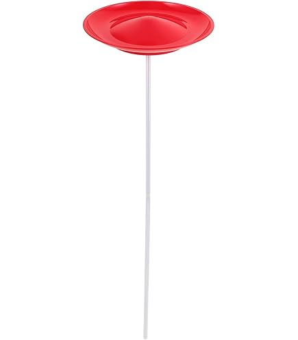 Amazon Spinning Plates On Sticks