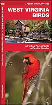 West Virginia Birds: A Folding Pocket Guide to Familiar Species ...