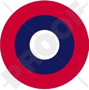 Amazon.com: UNITED STATES AirForce American Expeditionary Forces AEF ...