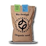 Erba medica proprietà e benefici - Tuttogreen