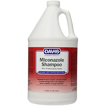 Amazon.com: Davis Miconazole Pet Shampoo, 1-Gallon