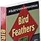 Bird Feathers: A Guide to North American Species: Scott, S. David ...